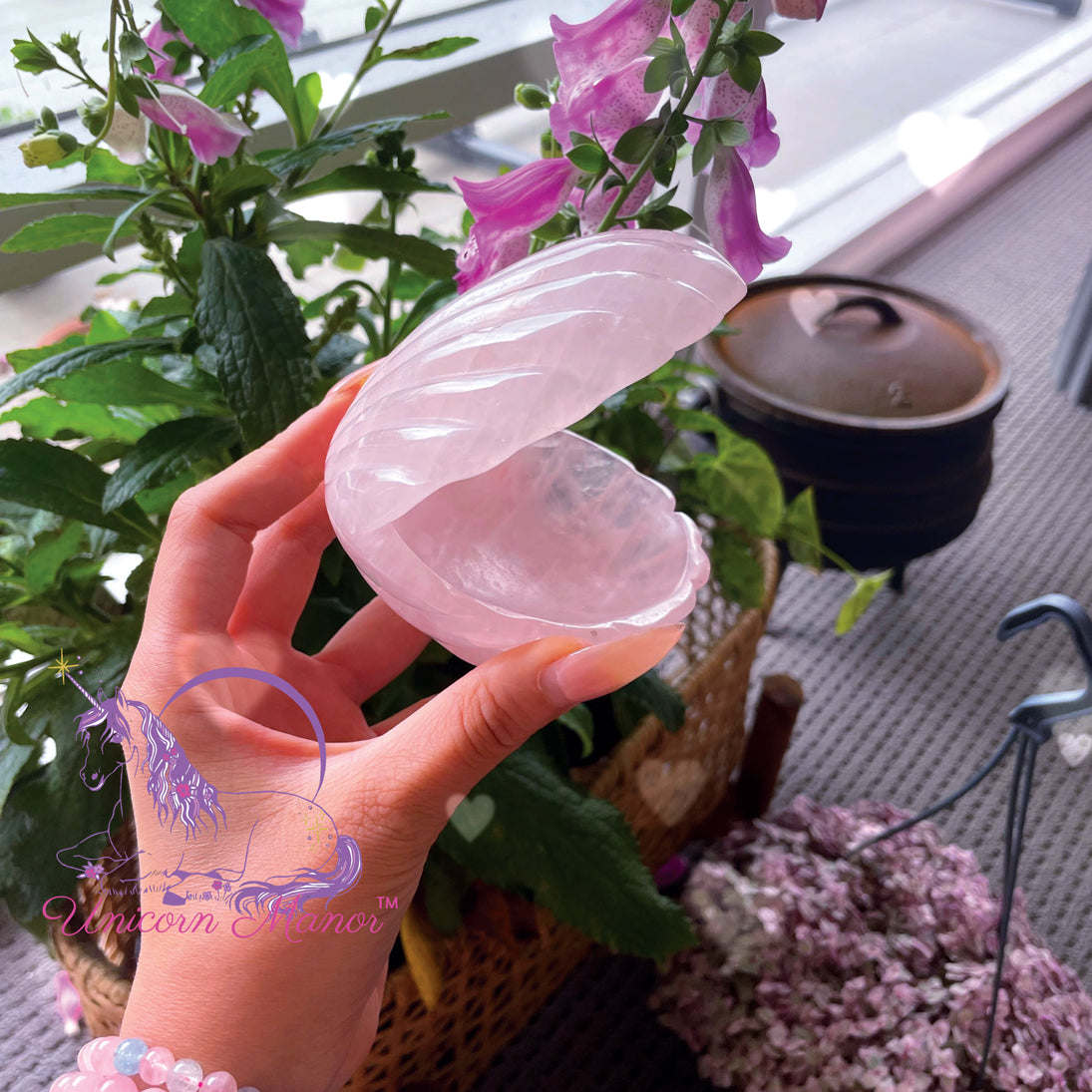 Aphrodite Rose Quartz Crystal Clamshell | unicornmanor