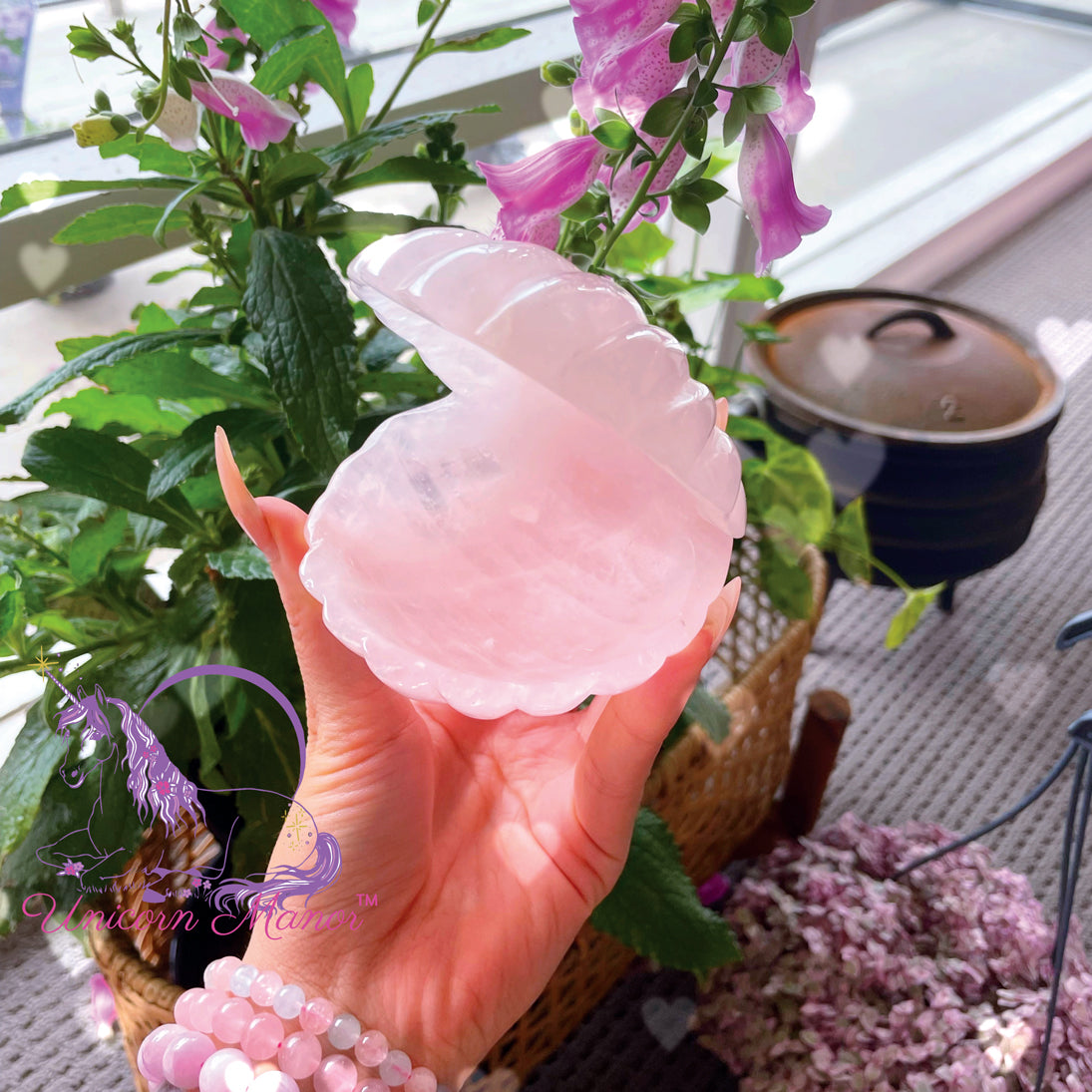 Aphrodite Rose Quartz Crystal Clamshell | unicornmanor