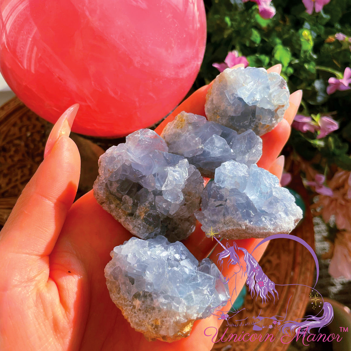 Celestite Baby Crystal Cluster | unicornmanor