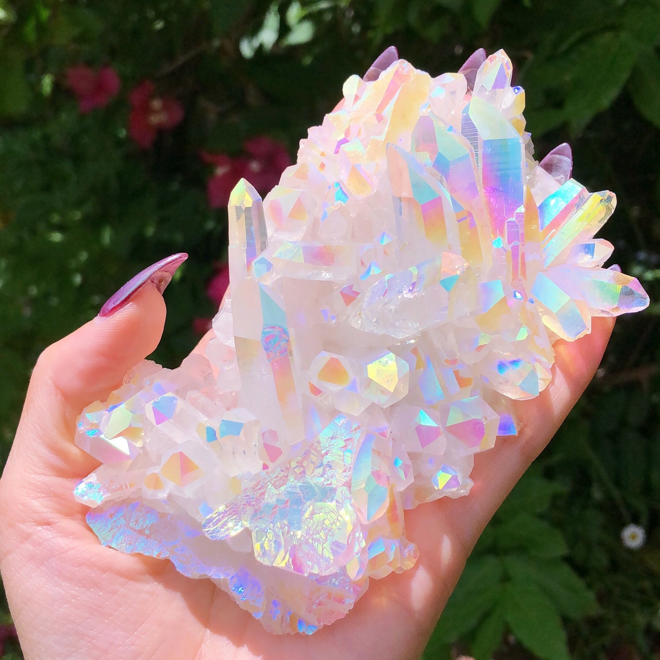 Angel Aura Himalayan Quartz XXL Display Cluster #1 | unicornmanor