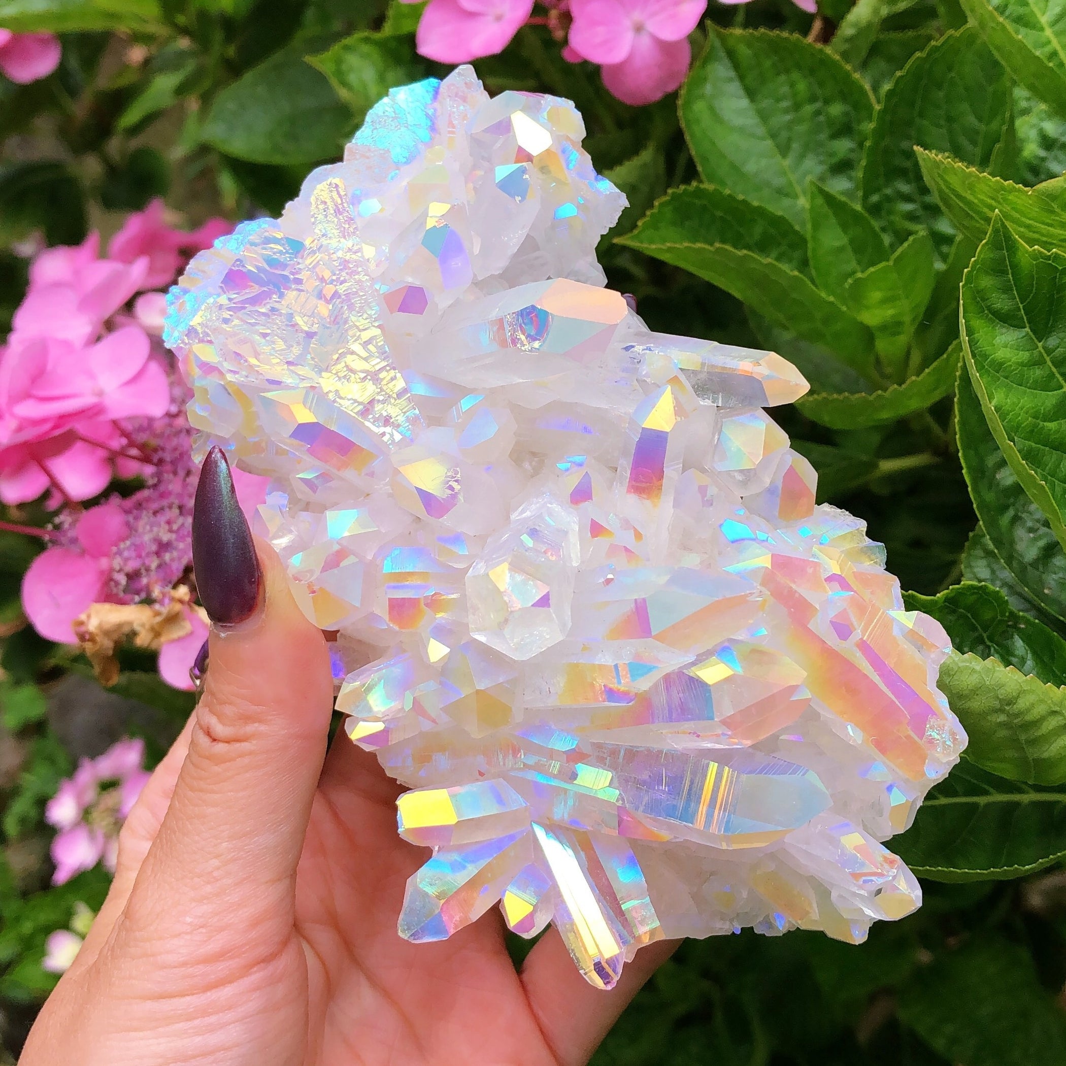 Angel Aura Himalayan Quartz XXL Display Cluster #1 | unicornmanor